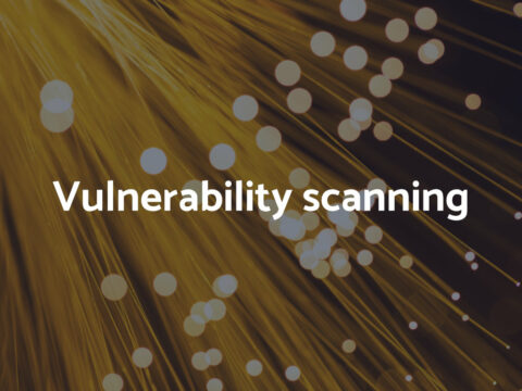 Vulnerability scanning | Unity Metrix